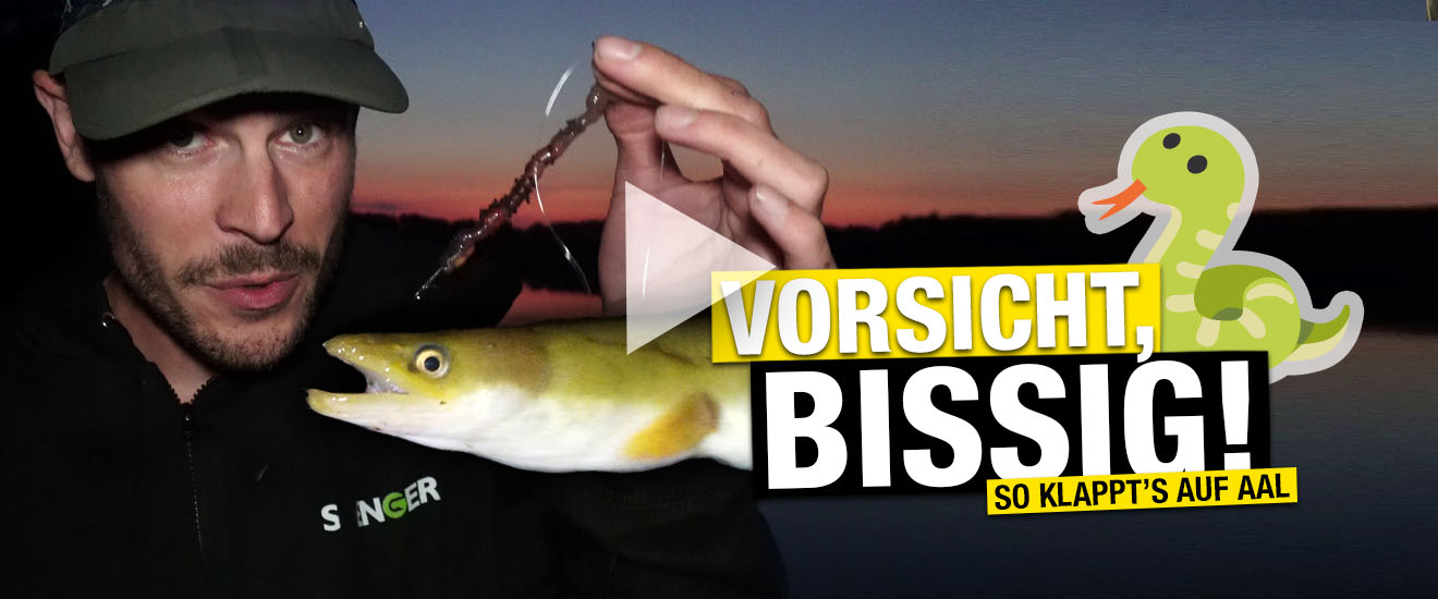 Askari Angelshop: Angelbedarf & Angelausrüstung online kaufen